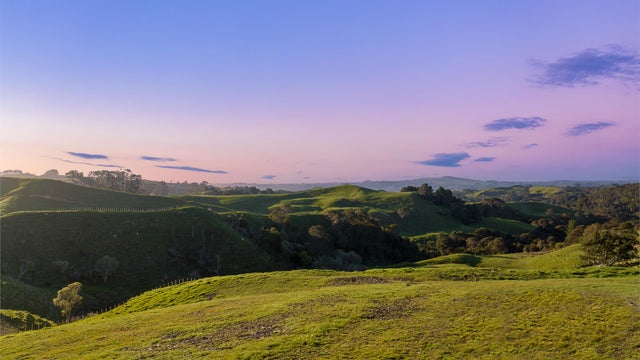 Lifestyle Asking Price NZ$545,000: 398C Onewhero Tuakau Bridge Road ...