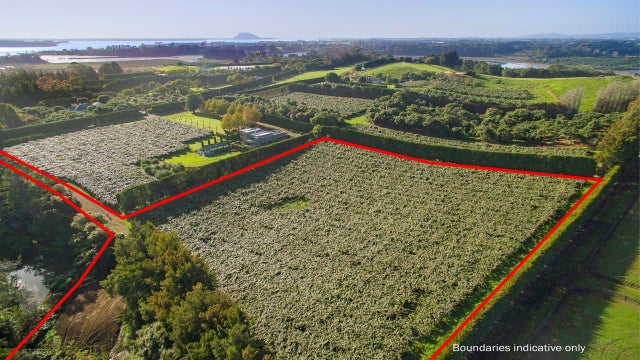 Lifestyle Asking Price NZ$695,000 + GST: Plummers Point, Plummers Point ...