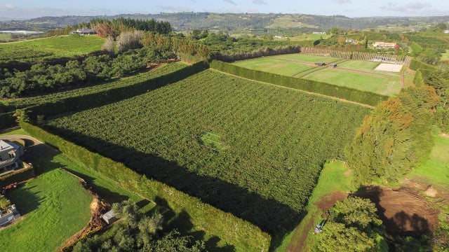 Lifestyle Asking Price NZ$695,000 + GST: Plummers Point, Plummers Point ...