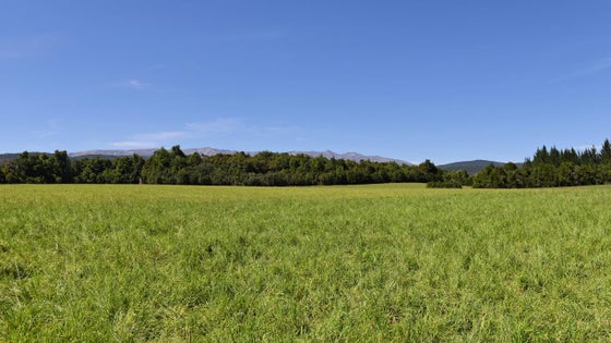 Rural Asking Price NZ$4,100,000 + GST: 115 Howard Valley Road, Howard ...