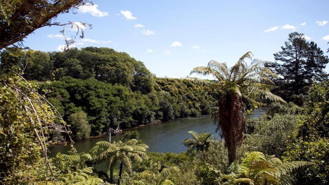 Lifestyle Asking Price: Tamahere, Tamahere, Hamilton | Bayleys